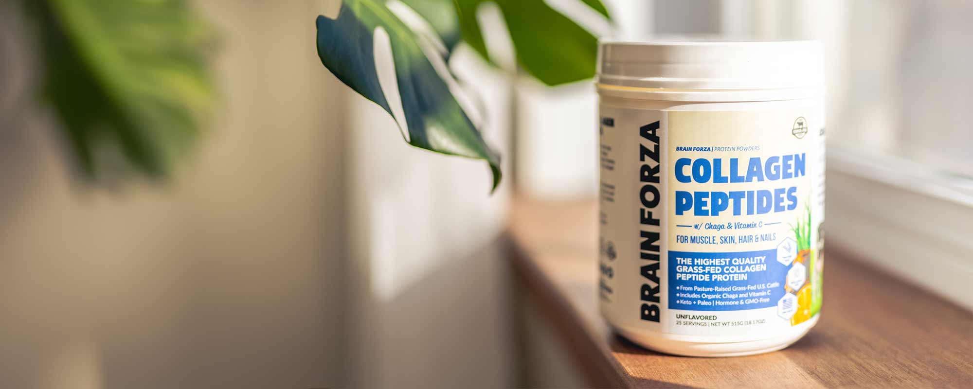 Brain Forza: Medicinal Mushrooms & Herbal Adaptogens – Brain Forza®